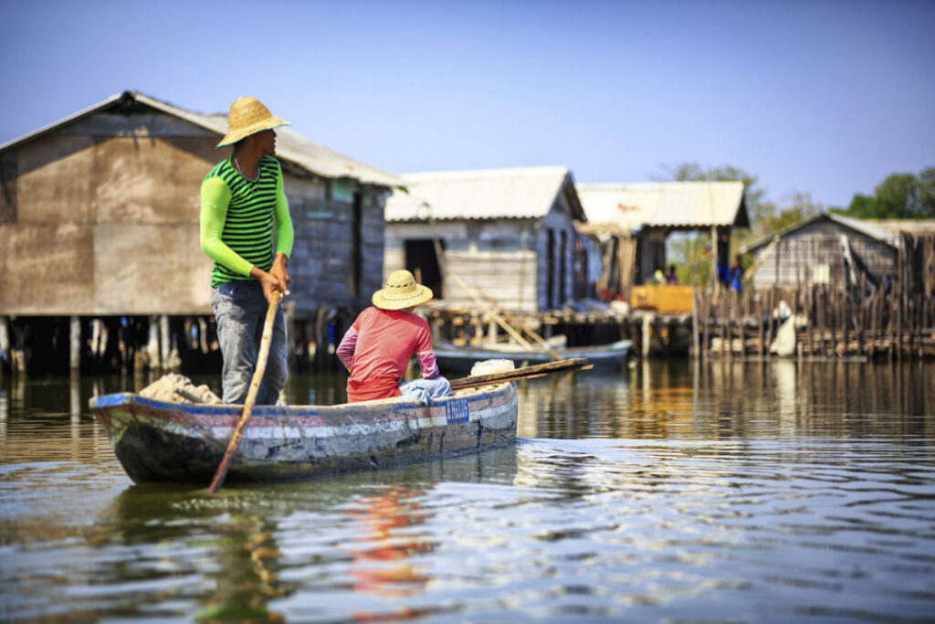 Fauna Caribe Colombiana – Somos la fundación de fauna por excelencia de ...