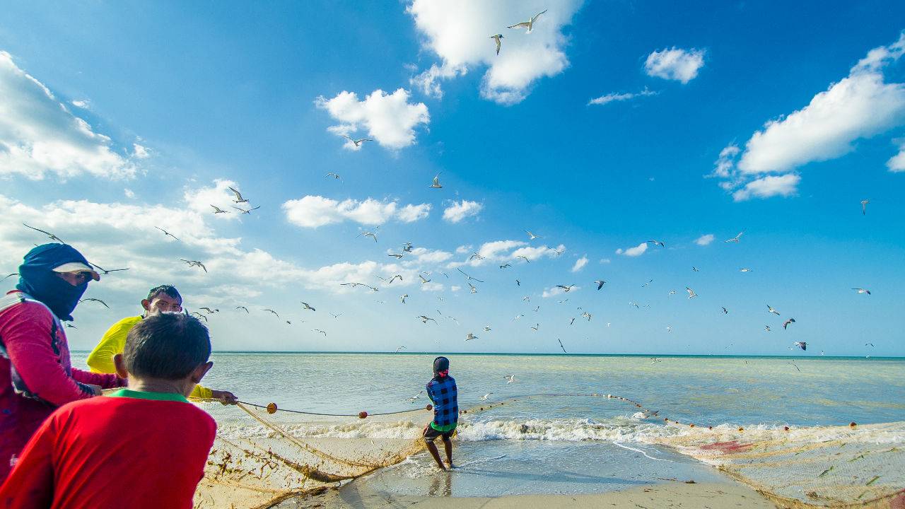 Fauna Caribe Colombiana – Somos la fundación de fauna por excelencia de ...